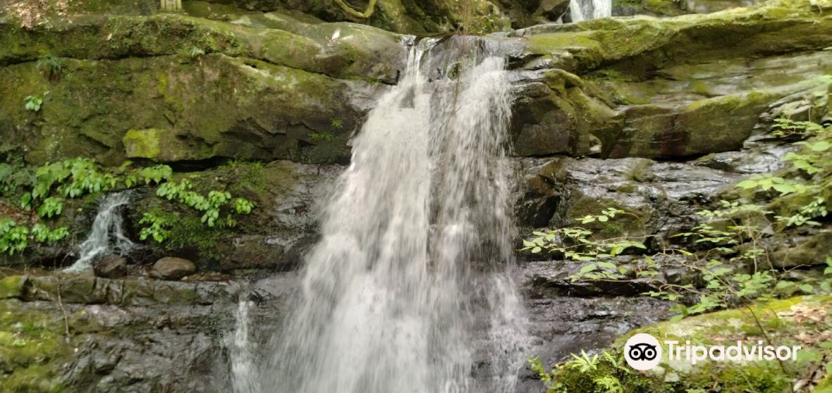 Things to Do in Miyawaka in 2024 - Top Attractions, Local Food, Hotels ...