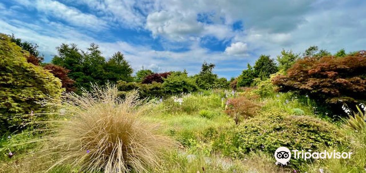 Buckland Monachorum Travel Guide 2024 - Things to Do, What To Eat ...