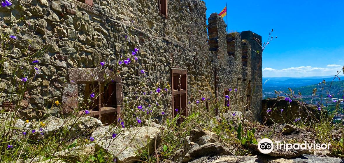 Things to Do in Lorrach in 2025 - Top Attractions, Local Food, Hotels ...