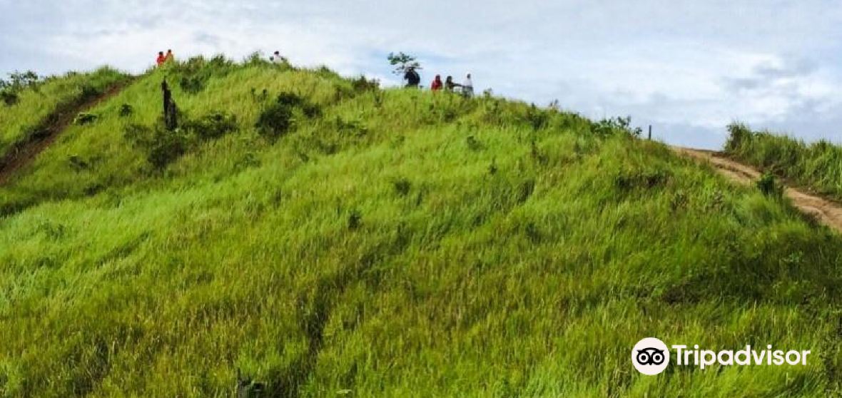 Balikpapan Travel Guide 2024 - Things to Do, What To Eat & Tips | Trip.com