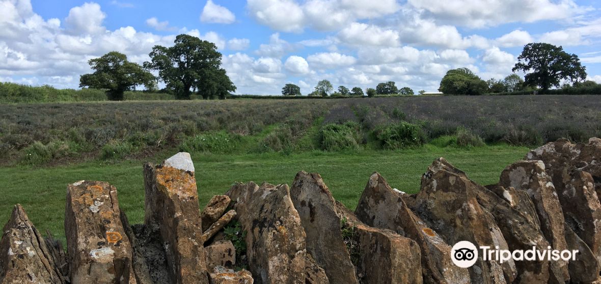 Things to do in Shoscombe (2025): Top nearby activities,popular ...