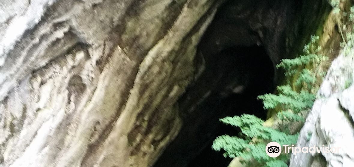 Dubova Travel Guide 2024 - Things to Do, What To Eat & Tips | Trip.com