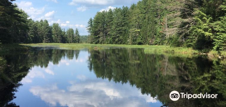 Haliburton Travel Guide 2023 - Things to Do, What To Eat & Tips | Trip.com