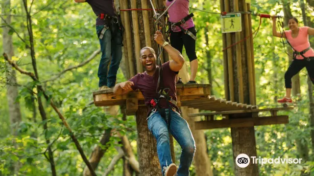 Go Ape Zipline and Adventure Park Tickets [2025] - Promos, Prices ...