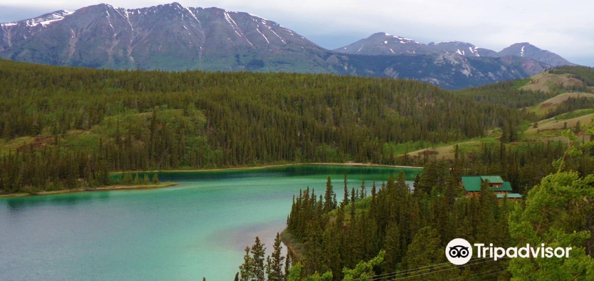 Things to Do in Carcross in 2024 - Top Attractions, Local Food, Hotels ...