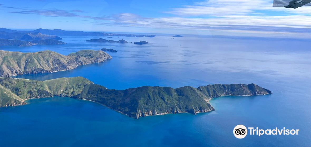 Things to do in Koromiko (2025): Top nearby activities,popular ...