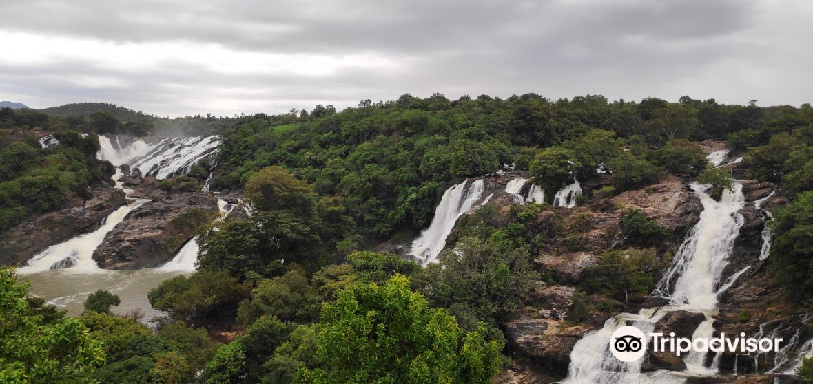 Things to Do in Chamarajanagar in 2024 - Top Attractions, Local Food ...