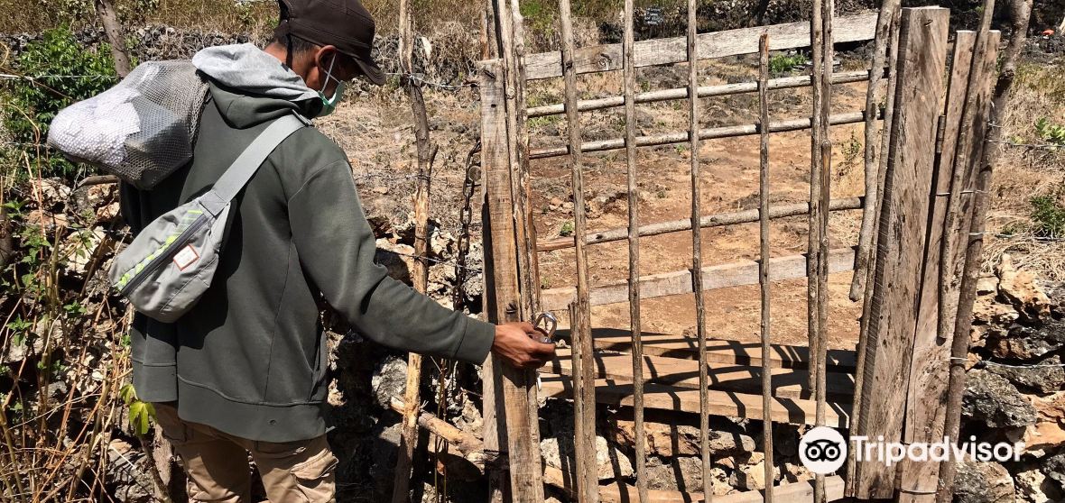 【2024年】Bolokの人気観光スポット・旅行ガイド・グルメ情報満載 | Trip.com