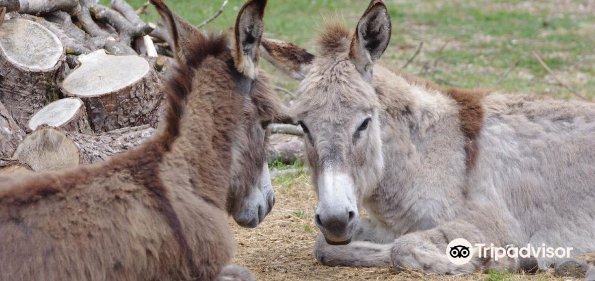 Chapelon Travel Guide 2023 - Things to Do, What To Eat & Tips | Trip.com