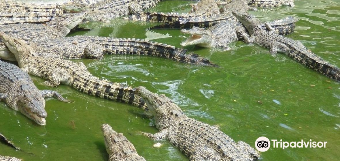 Talomo Travel Guide 2024 - Things to Do, What To Eat & Tips | Trip.com