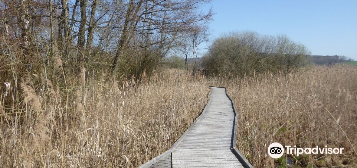 Things to Do in Neerach in 2024 - Top Attractions, Local Food, Hotels ...