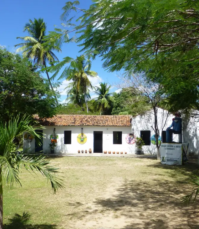 Ceara Travel Guide 2024 - Things to Do, What To Eat & Tips | Trip.com