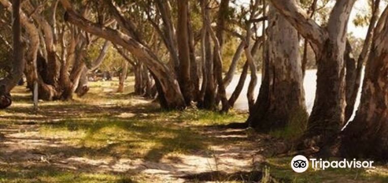 Minimay Travel Guide 2026: Top Attractions, Things to Do & Deals | Trip ...