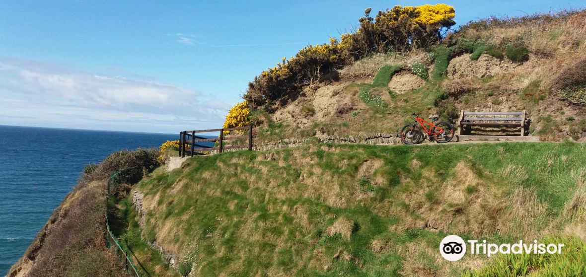 Things to Do in Baglan in 2024 - Top Attractions, Local Food, Hotels ...