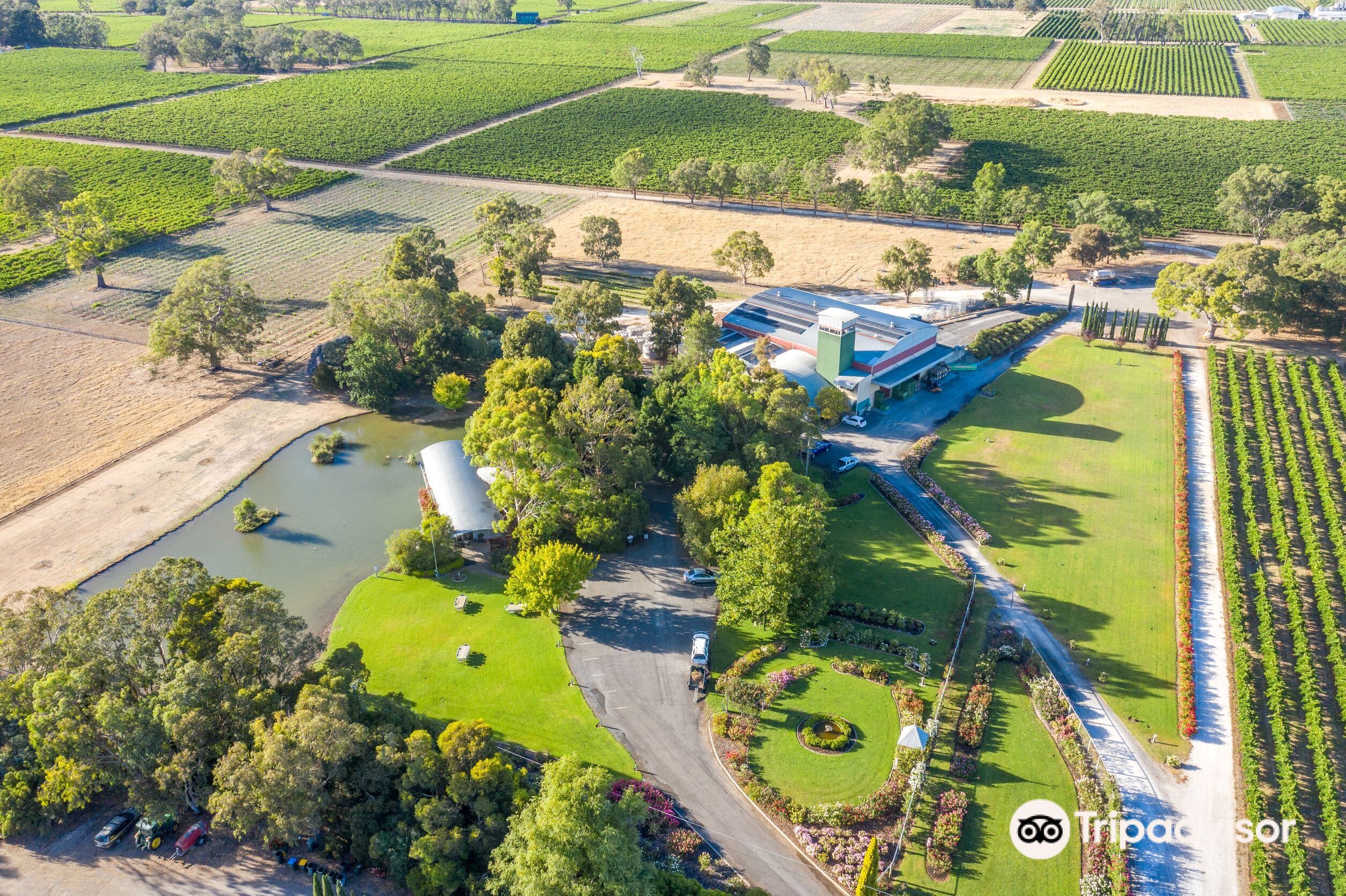 Balnaves of Coonawarra: ภาพถ่าย, แผนที่ & รีวิว [2024] | Trip.com