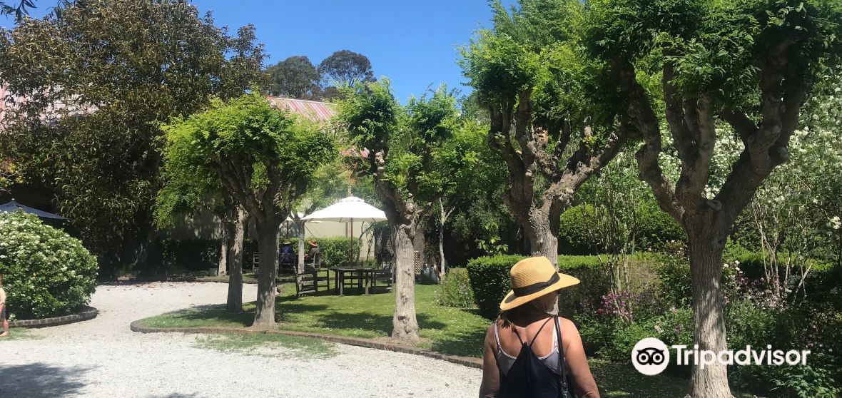 Things to Do in Manutuke in 2024 - Top Attractions, Local Food, Hotels ...