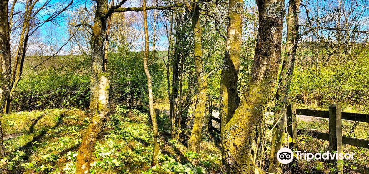 Things to Do in Aberkenfig in 2024 - Top Attractions, Local Food ...