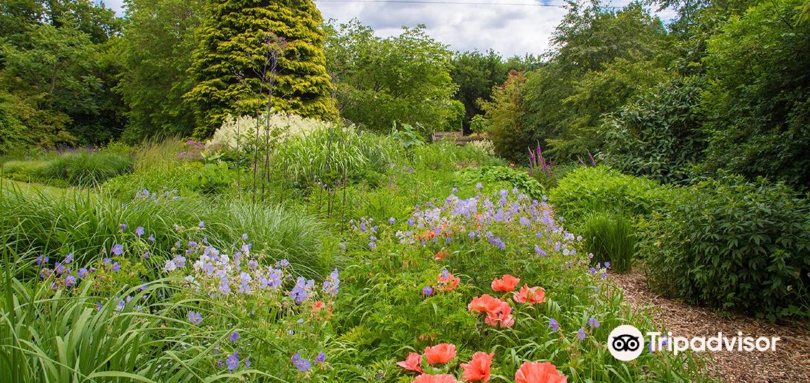 Ferndown Town Travel Guide 2024 - Things to Do, What To Eat & Tips ...