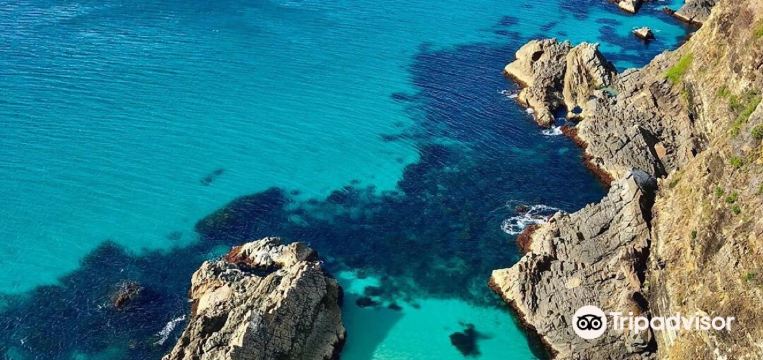 Forster Travel Guide 2026: Top Attractions, Things to do & Itinerary ...