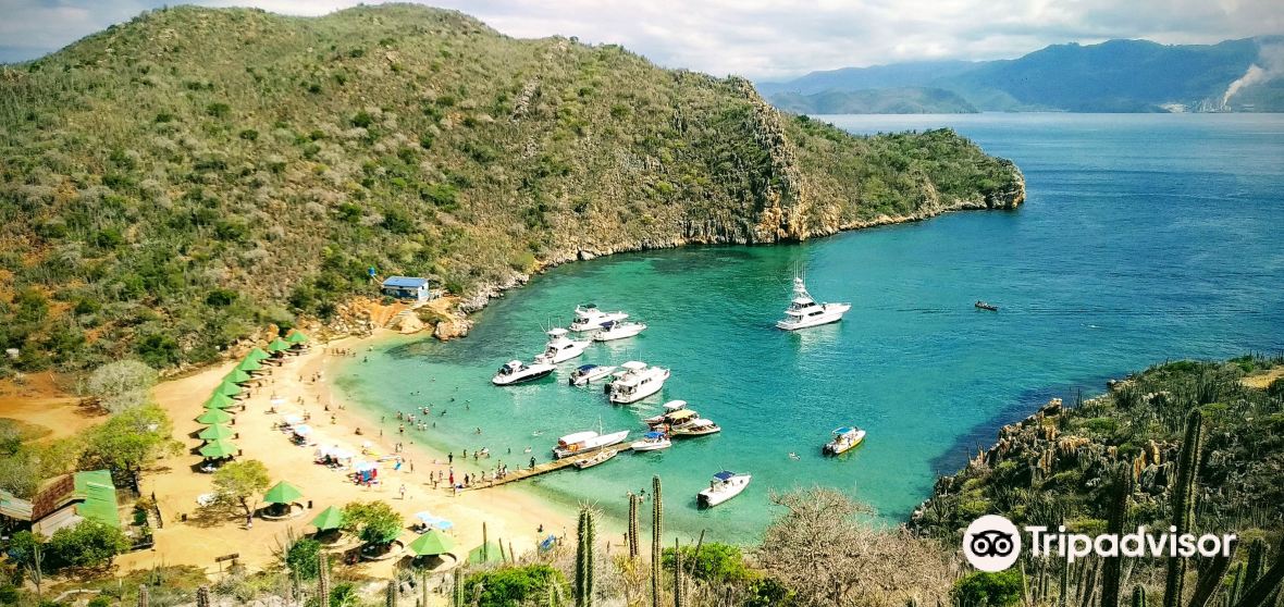 Things to Do in Lecheria in 2024 - Top Attractions, Local Food, Hotels ...