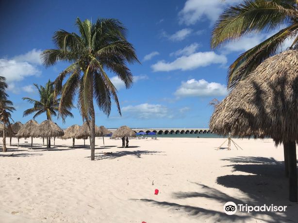 10 Best Progreso Beach Hotels (Prices & Deals) | Trip.com