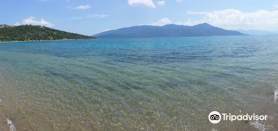 Things to Do in Stylida in 2025 - Top Attractions, Local Food, Hotels ...