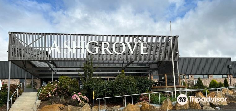 Things to Do in Elizabeth Town in 2024 - Top Attractions, Local Food ...