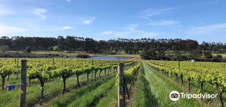 Things to Do in Treeton in 2024 - Top Attractions, Local Food, Hotels ...