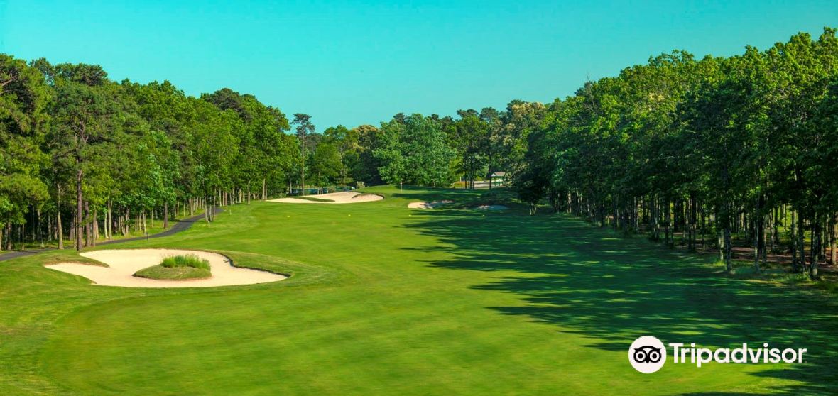 Things to Do in Egg Harbor Township in 2024 - Top Attractions, Local ...