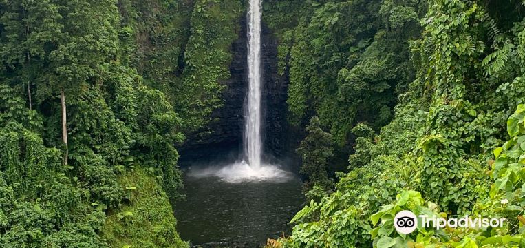 Asau Travel Guide 2026: Top Attractions, Things to Do & Deals | Trip ...