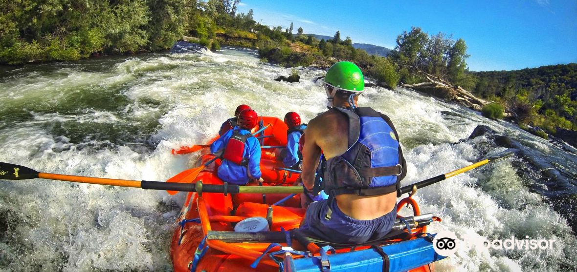 Merlin Travel Guide 2025: Top Attractions, Things to Do & Deals | Trip ...