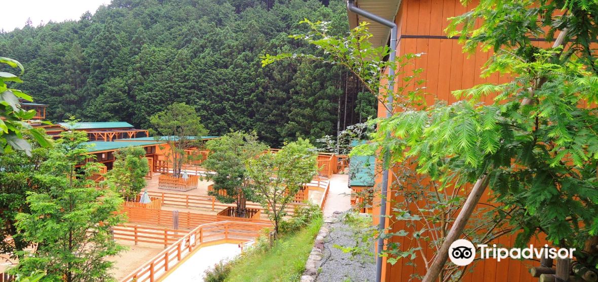 Things to Do in Watarai District in 2024 - Top Attractions, Local Food ...