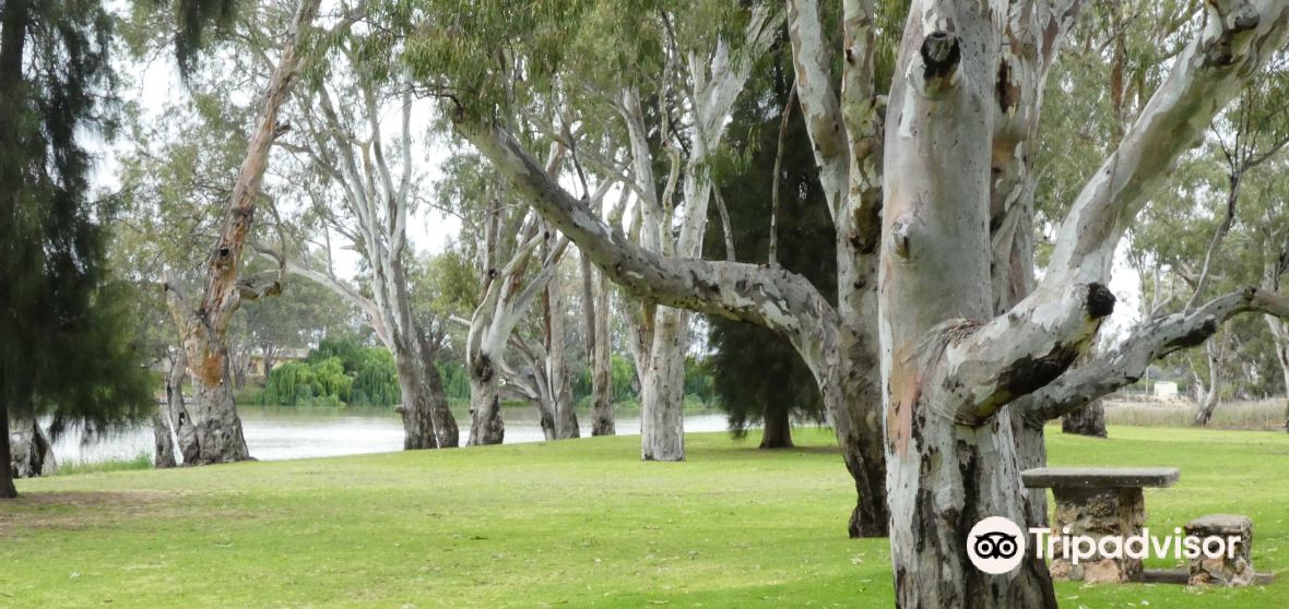Berri Travel Guide 2026: Top Attractions, Things to Do & Deals | Trip ...