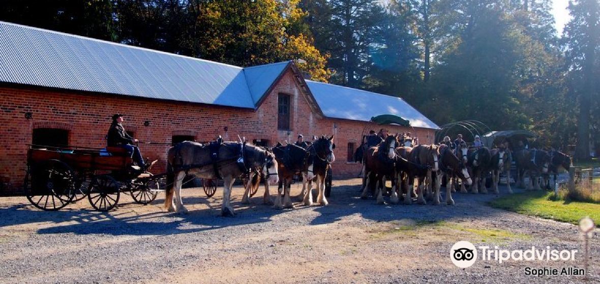 Coalgate Travel Guide 2026: Top Attractions, Things to Do & Deals ...