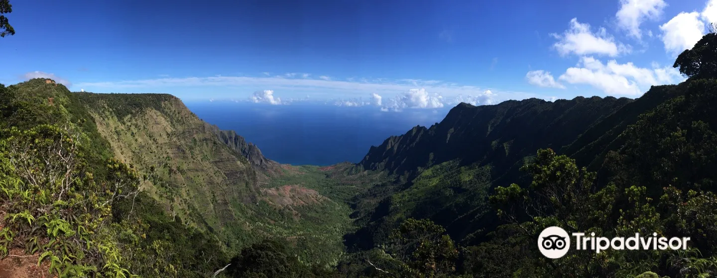 Alakai Swamp Trail門票【2026】- 預約、開放時間、評論及資訊 | Trip.com