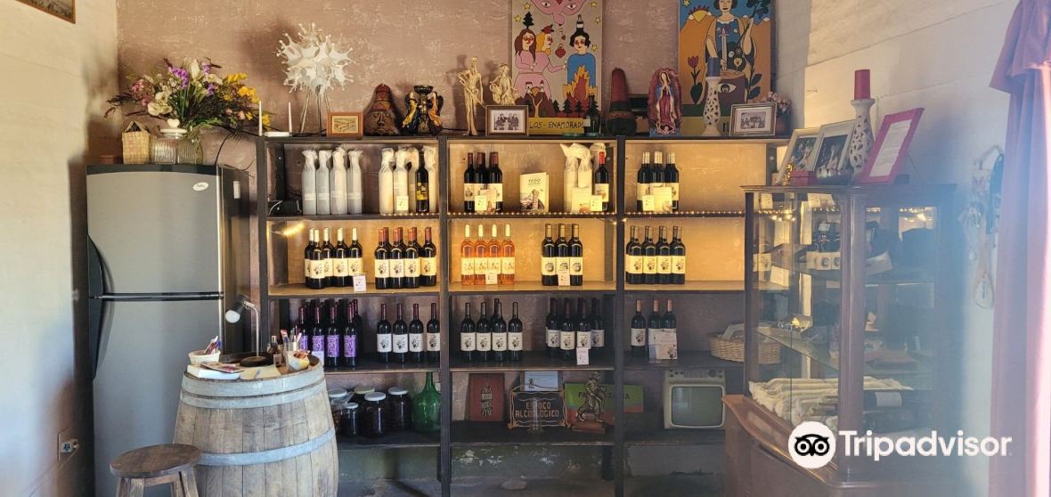 Things to Do in Tunuyan in 2024 - Top Attractions, Local Food, Hotels ...