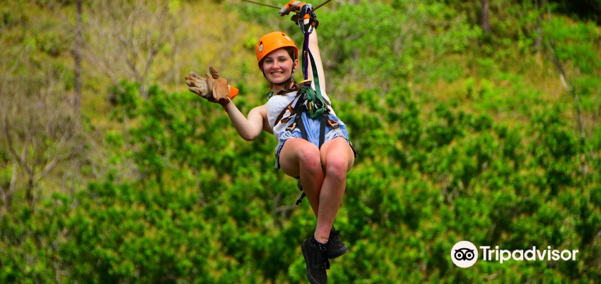 Things to Do in Quebrada Ganado in 2025 - Top Attractions, Local Food ...