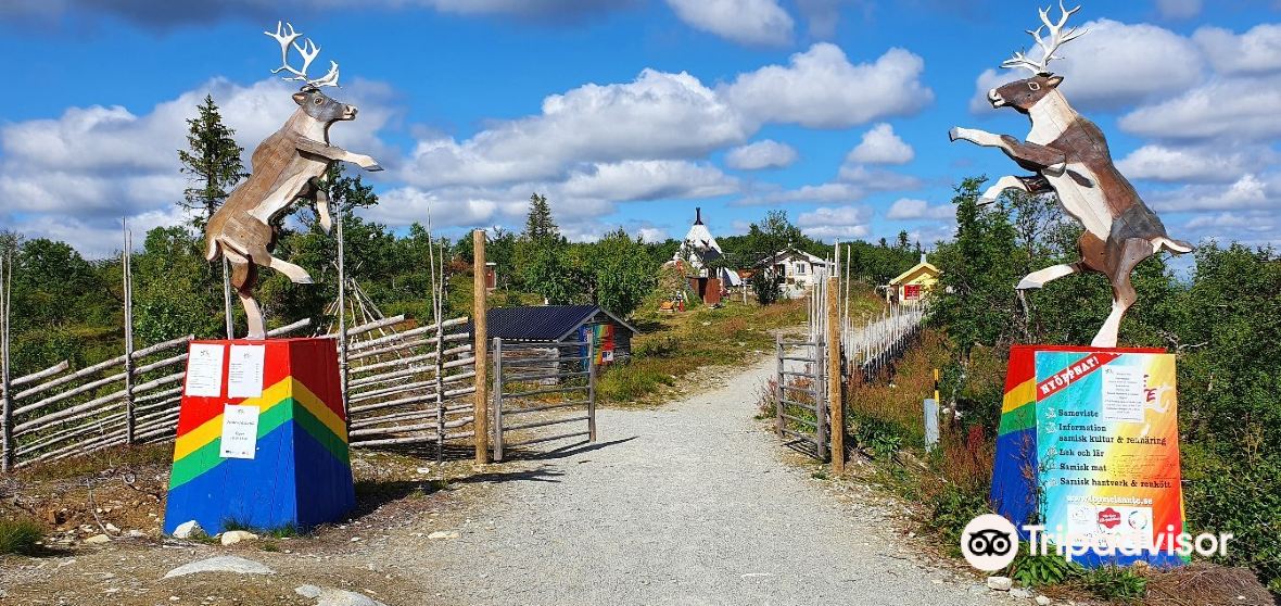 Sveg Travel Guide 2025: Top Attractions, Things to Do & Deals | Trip ...