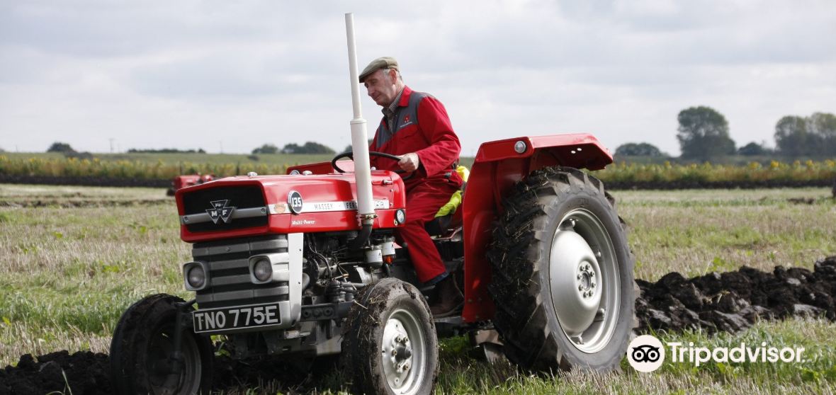 Things to do in Prickwillow (2025): Top nearby activities,popular ...