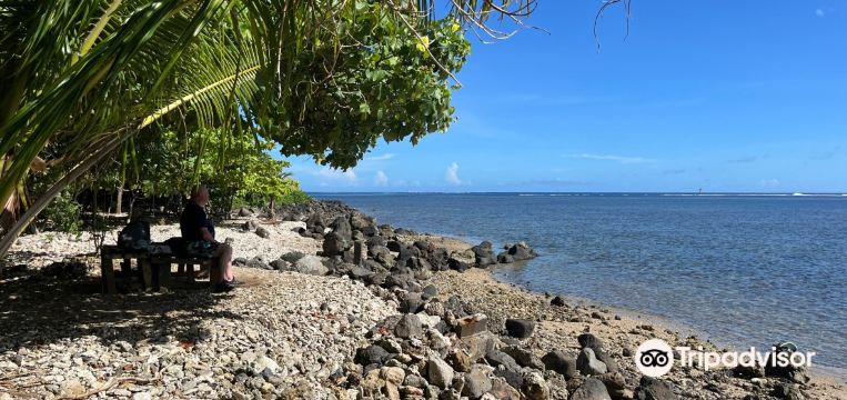 Things to Do in Matautu in 2024 - Top Attractions, Local Food, Hotels ...