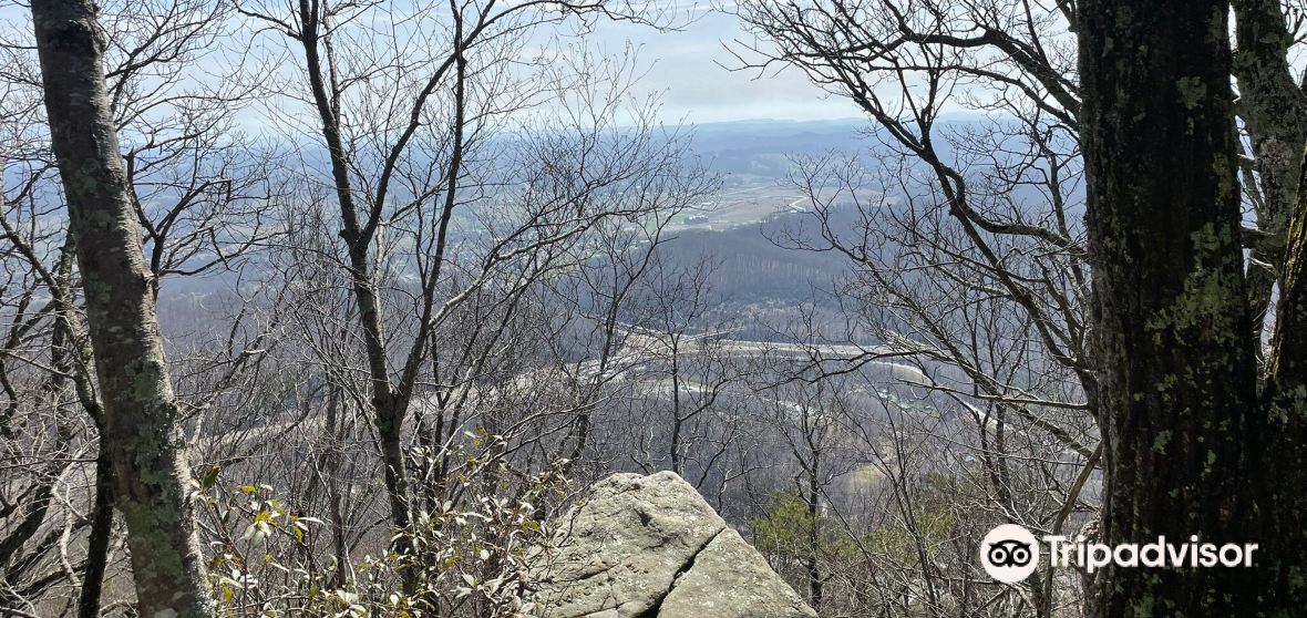 Lee County Travel Guide 2024 - Things to Do, What To Eat & Tips | Trip.com