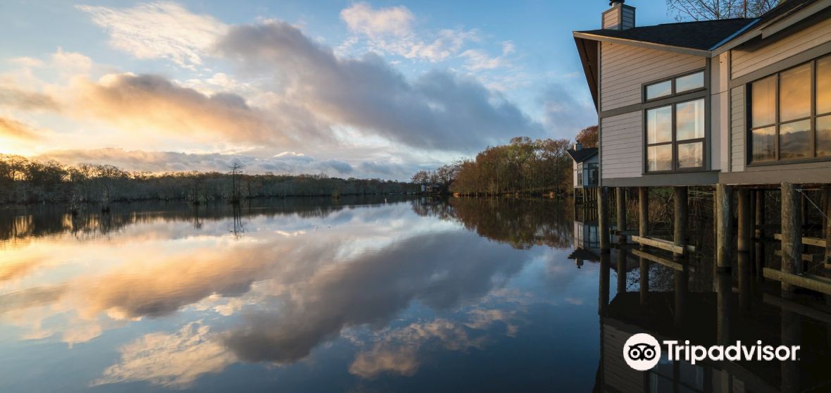 Things to Do in Evangeline Parish in 2025 - Top Attractions, Local Food ...