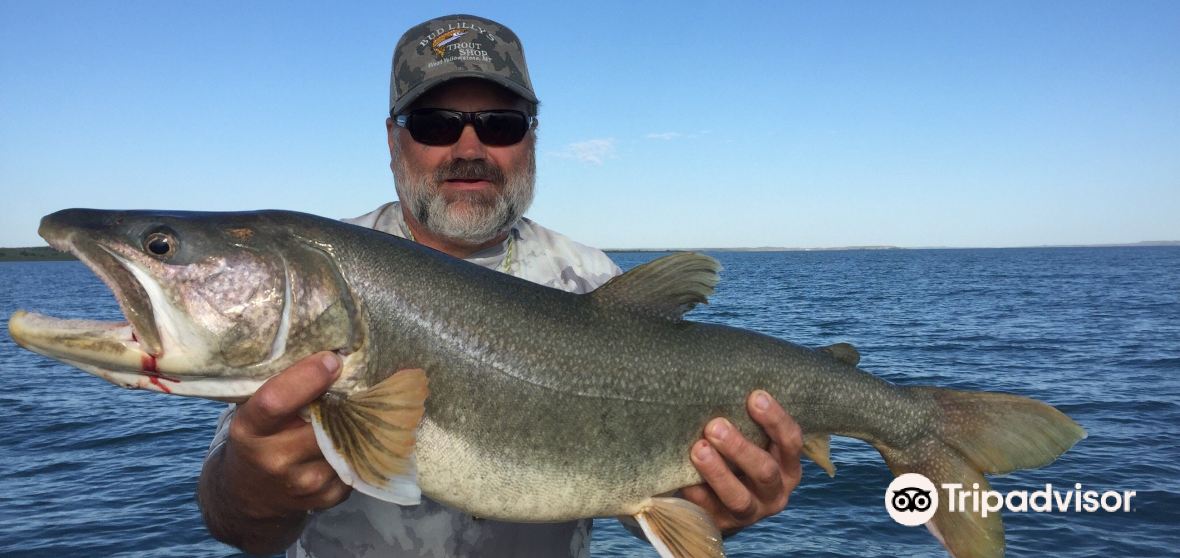 Things to do in Helena Valley Northwest (2025): Top nearby activities ...