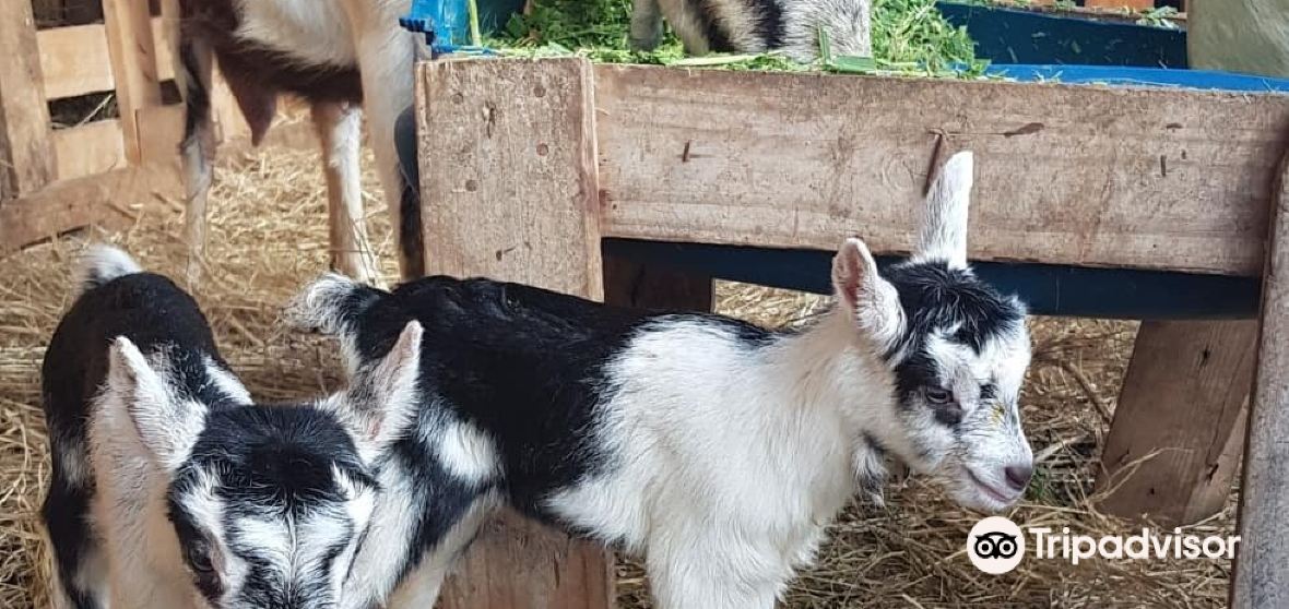 Azua Travel Guide 2024 - Things to Do, What To Eat & Tips | Trip.com