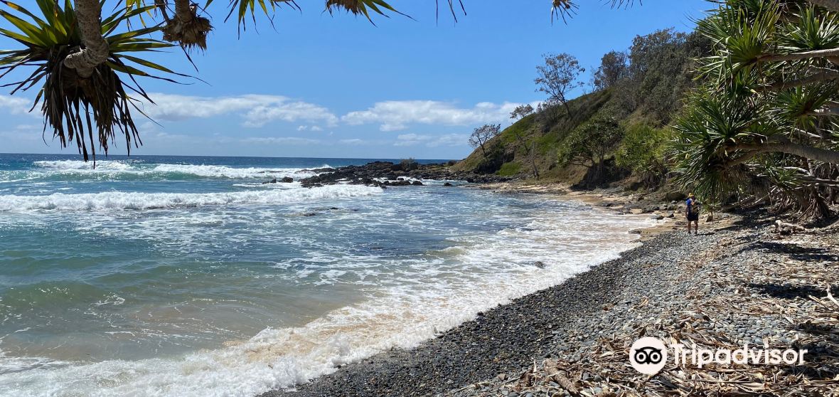 Minnie Water Travel Guide 2023 - Things to Do, What To Eat & Tips ...