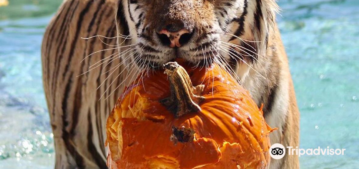 Things to do in Litaker (2025): Top nearby activities,popular ...