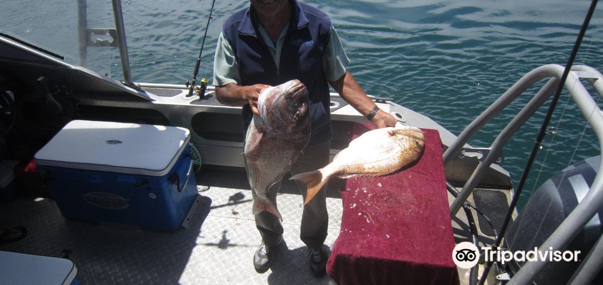 Pukenui Travel Guide 2024 - Things to Do, What To Eat & Tips | Trip.com