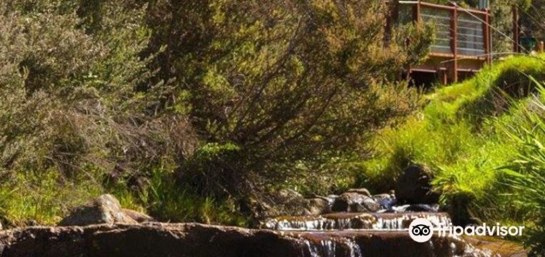 Lenah Valley Travel Guide 2026: Top Attractions, Things to Do & Deals ...