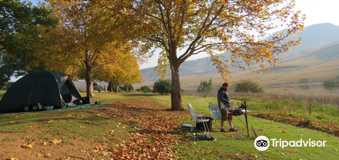 코크슈타트여행 (2025) - 인기 여행지, 추천 코스, 맛집 정보 | 트립닷컴