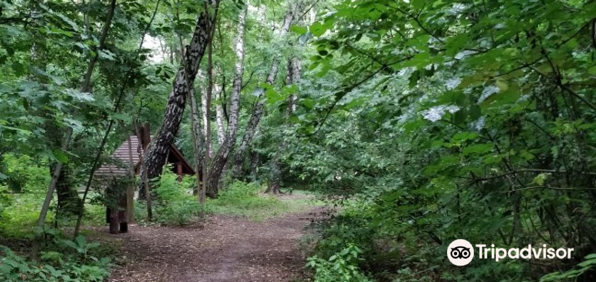 Things to Do in Bemowo in 2024 - Top Attractions, Local Food, Hotels ...